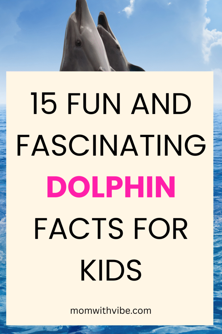 15 Fun And Fascinating Dolphin Facts For Kids - Mom With Vibe